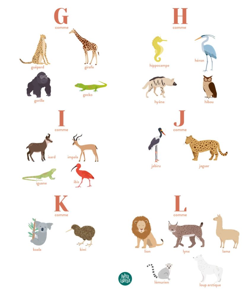 Affiche abécédaire à personnaliser animaux