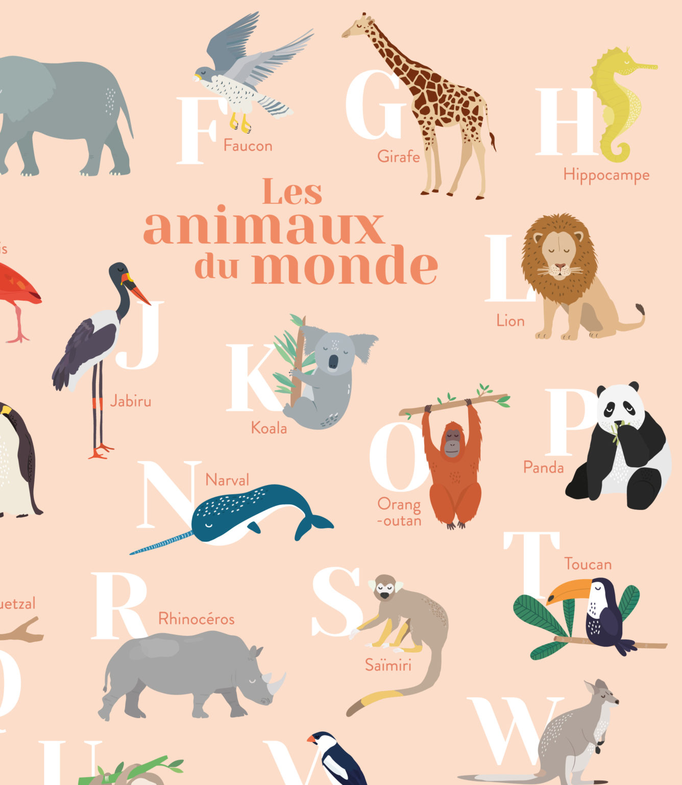 Abécédaire des animaux du monde - Papier curieux