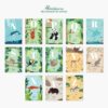 Cartes alphabet animaux - Papier curieux
