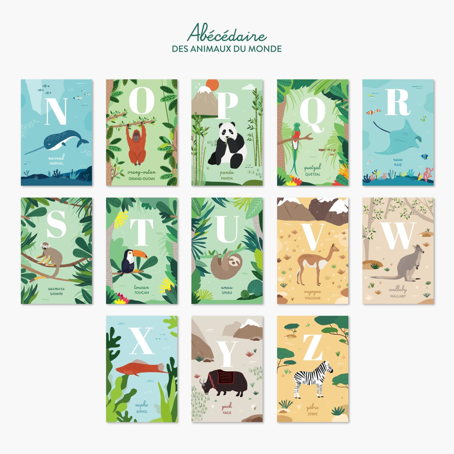 Cartes alphabet animaux - Papier curieux