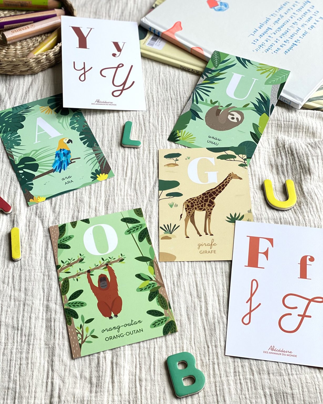 Cartes alphabet animaux - Papier curieux