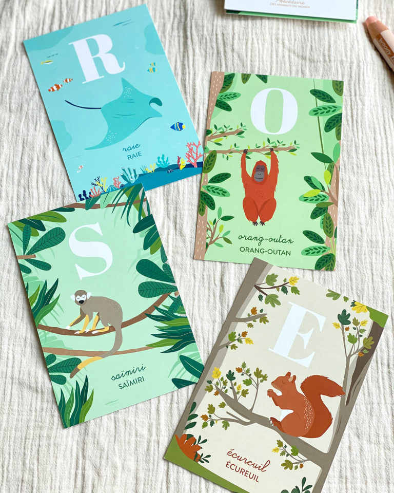 Cartes alphabet animaux - Papier curieux