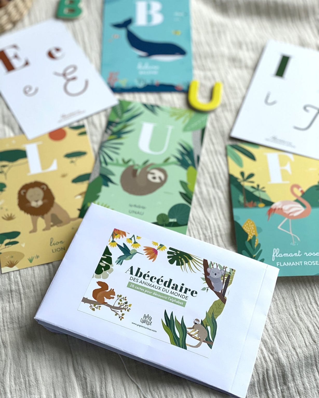 Cartes alphabet animaux - Papier curieux